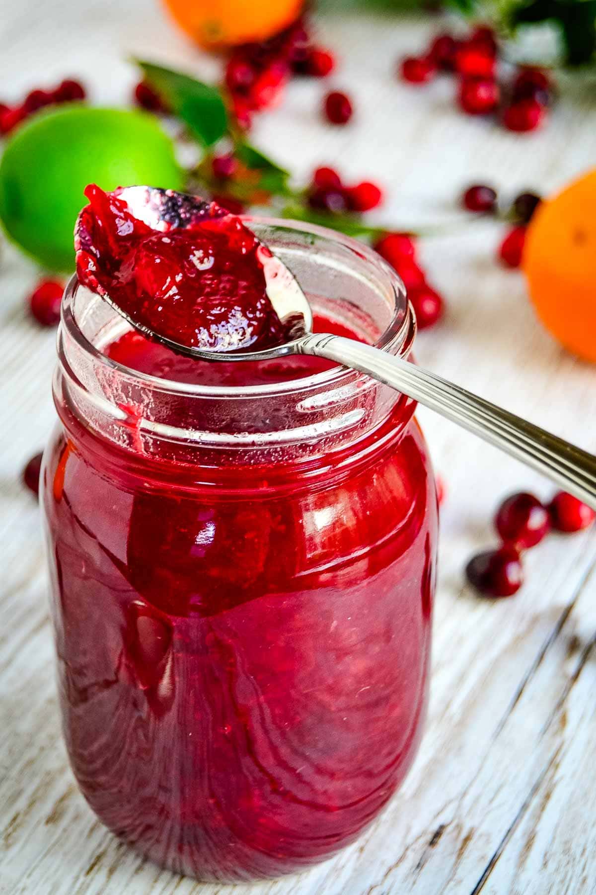 Small-Batch Clementine Cranberry Jam - Ruthybelle Recipes